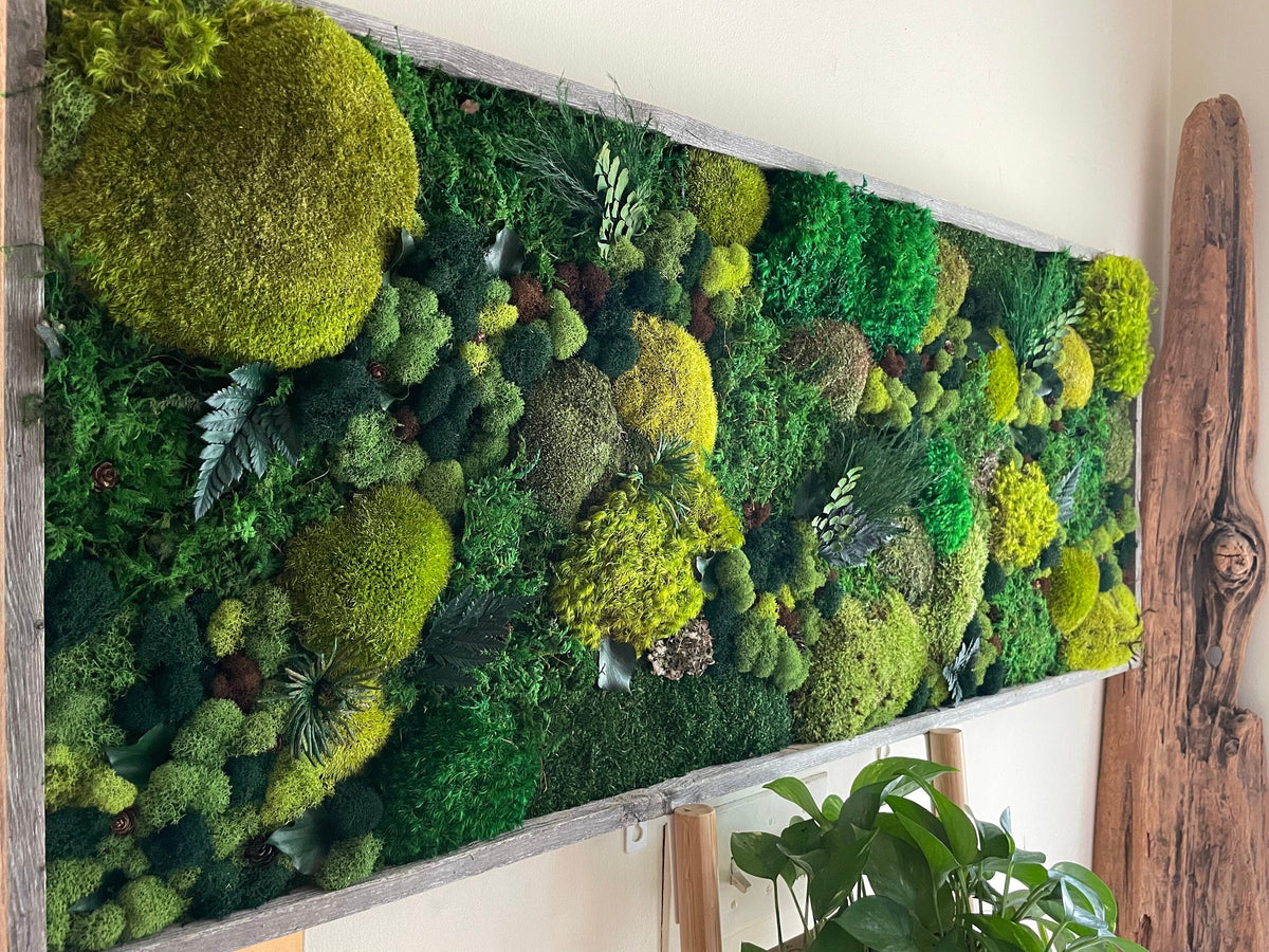 Moss Wall Art, Barn Wood frame, Moss Art Work, Moss Art, Preserved Mos ...